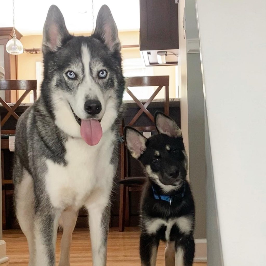 Testimonials – Mountain Laurel Homestead